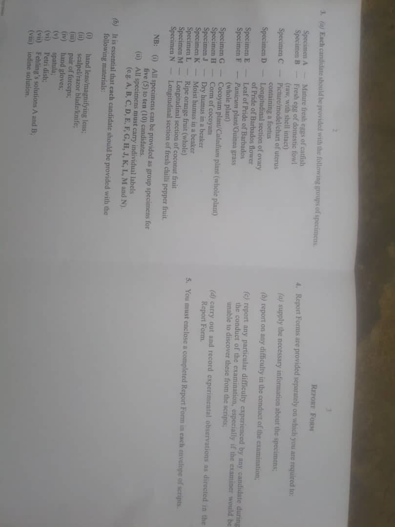 WAEC BIOLOGY PRACTICAL SPECIMENS 2023: EVERYTHING YOU NEED TO KNOW ...